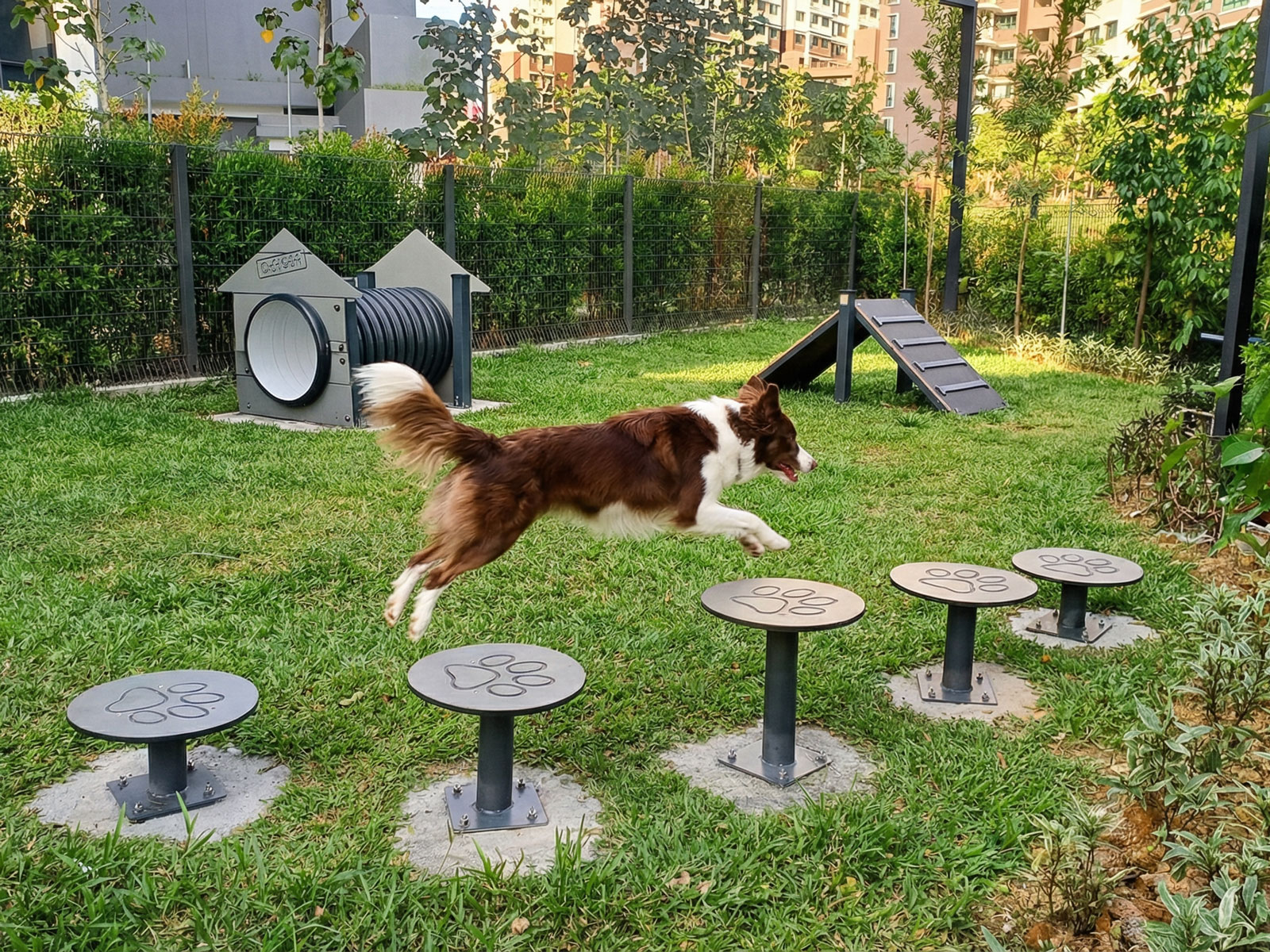 Woof-Parcs | Parcours Canin Agility pour Collectivités